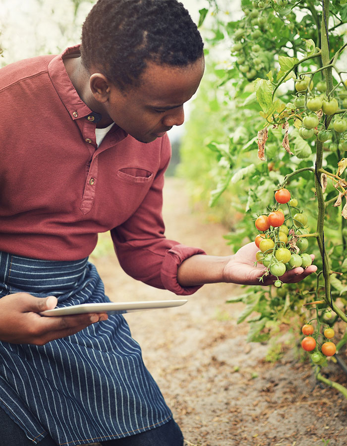 Smart Agriculture Program – Axis Social Entrepreneurship Network